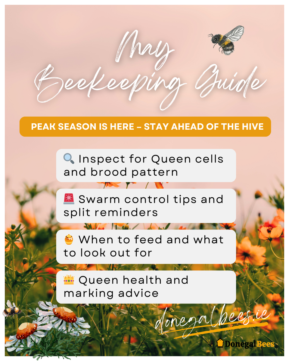 May Beekeeping Guide - Swarm Control and Queen Checks – Donegal Bees