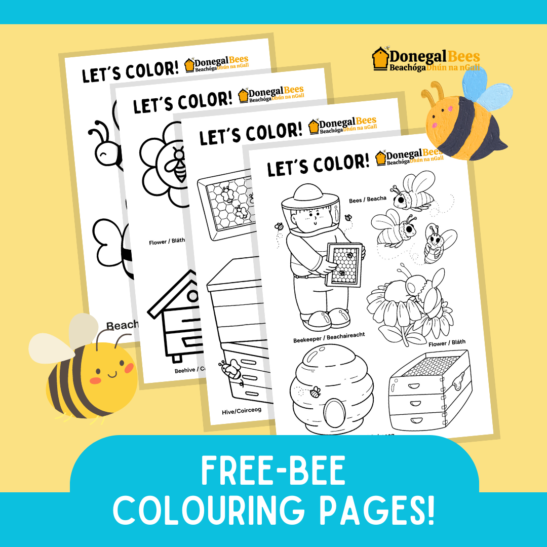 FreeBee Colouring Pages – Donegal Bees