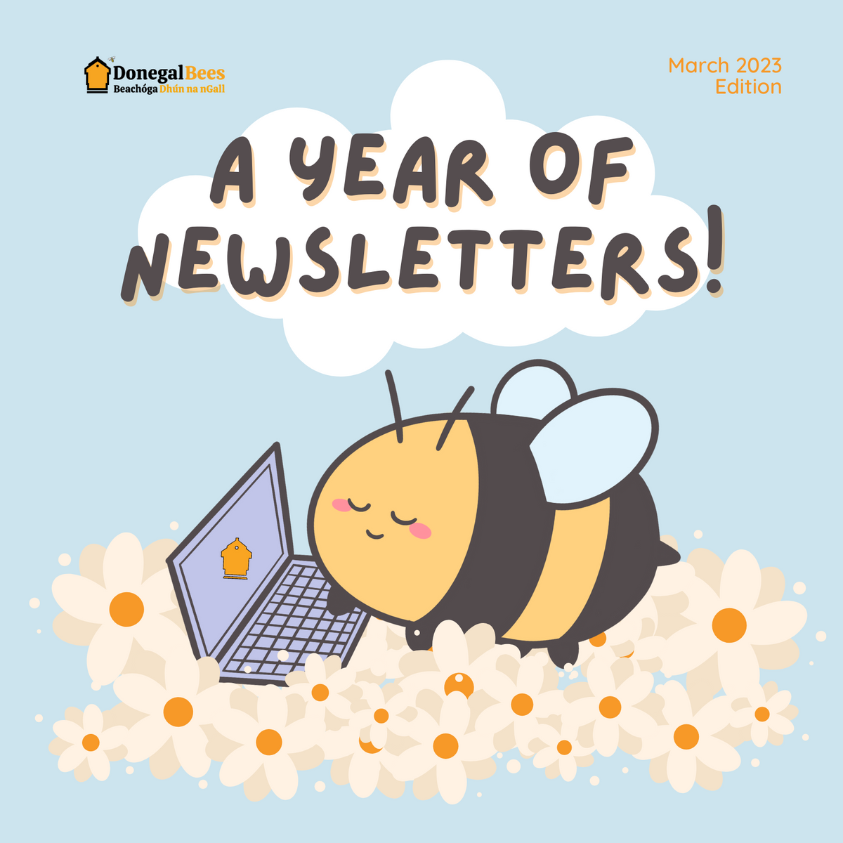 Donegal Bees March 2023 Newsletter
