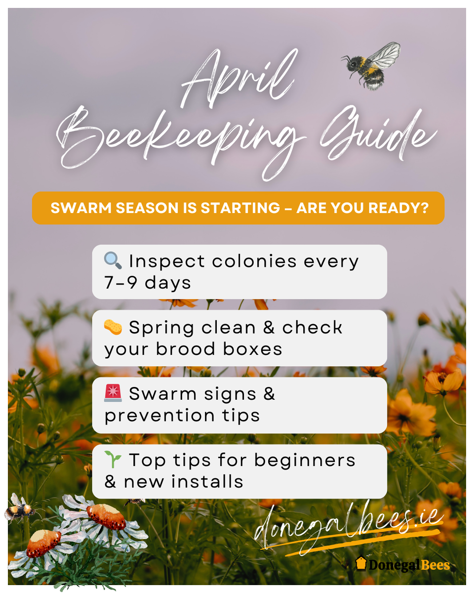 April Beekeeping Guide – Swarm Season & Spring Checks – Donegal Bees