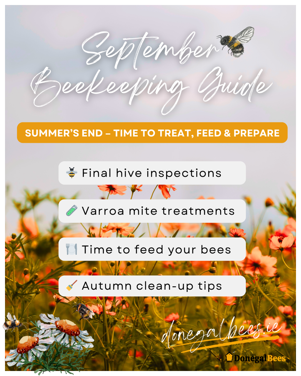 September Beekeeping Guide – Varroa Treatment, Feeding & Final Checks ...