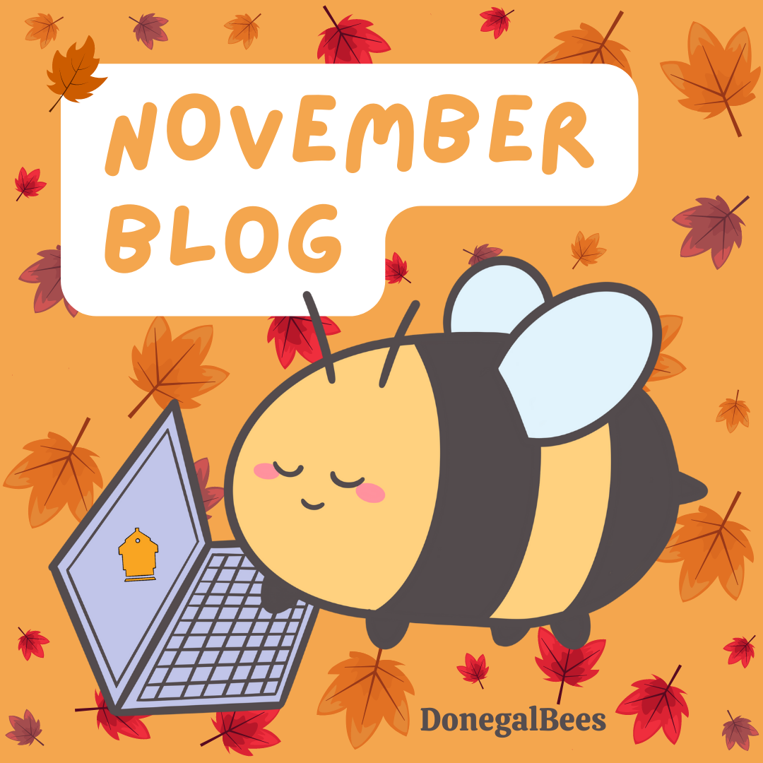Donegal Bees Beekeeping Checklist for November
