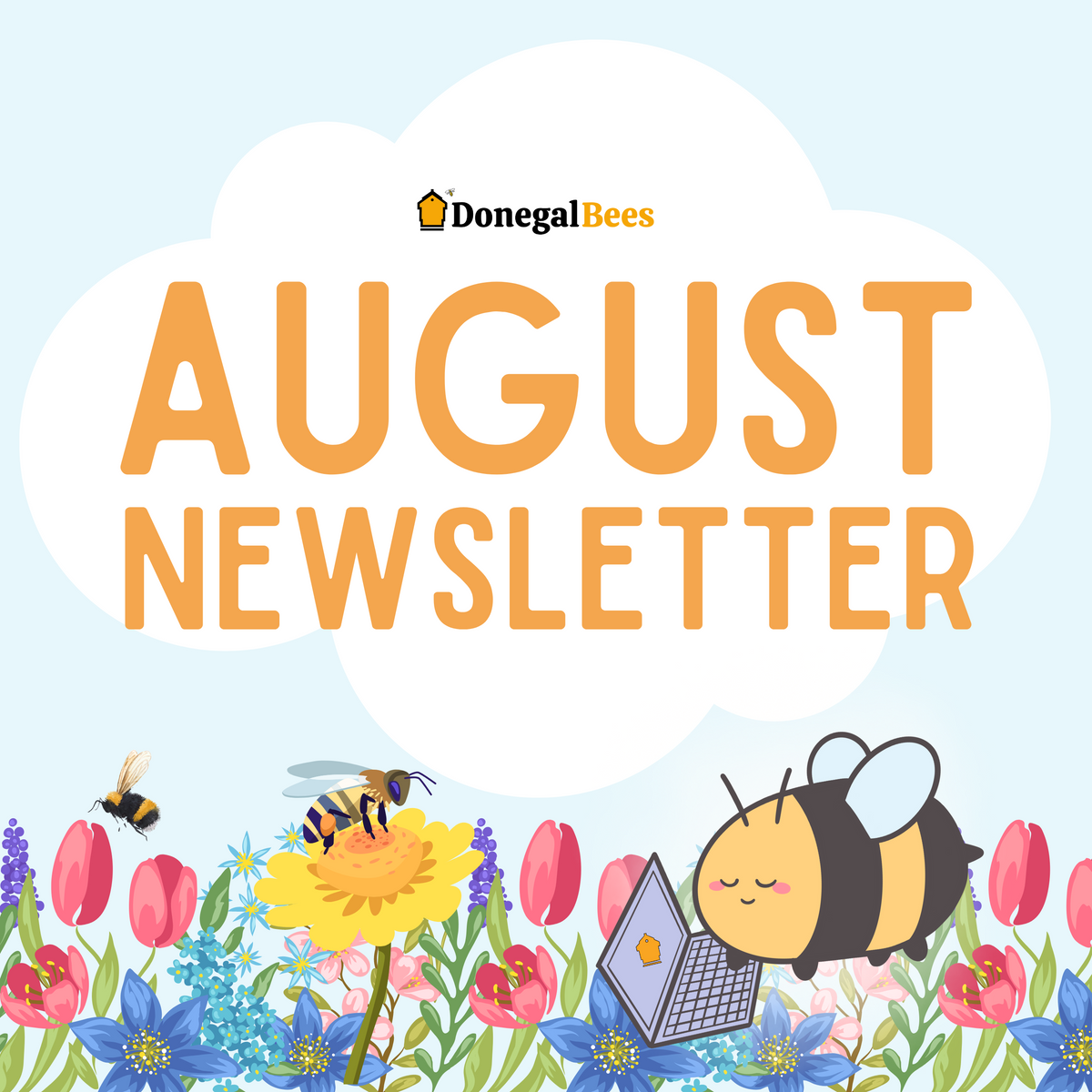 August 2023 Beekeeping News – Donegal Bees