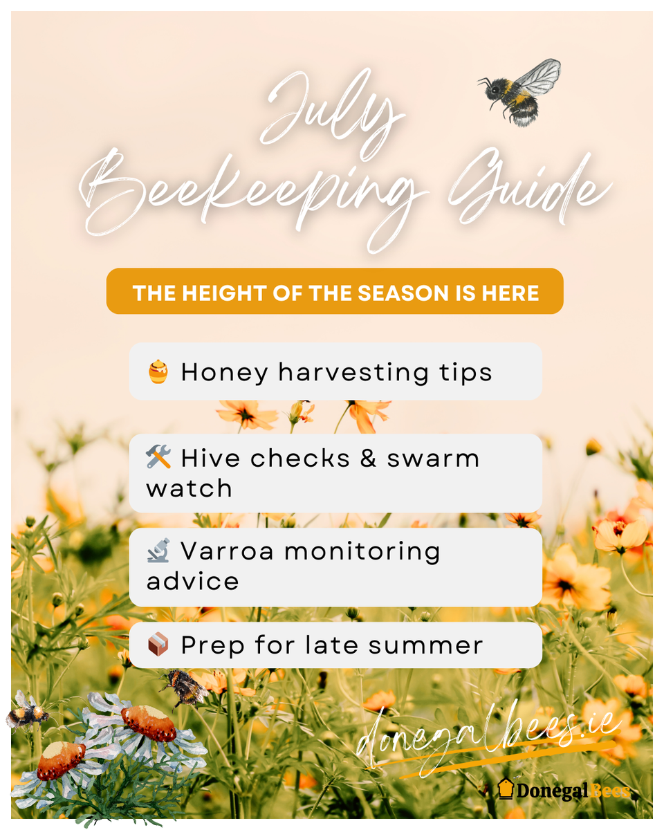 July Beekeeping Guide – Honey Harvest and Hive Health – Donegal Bees