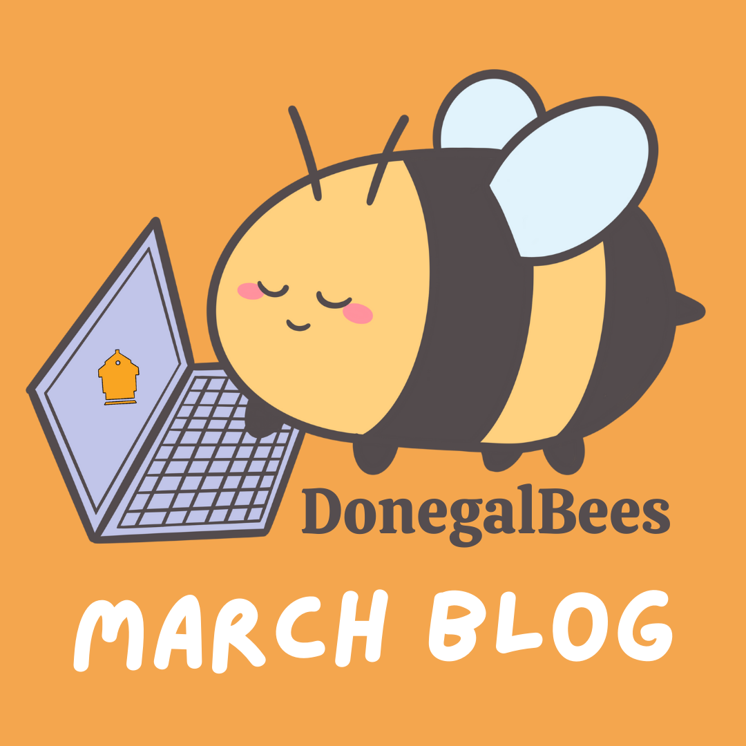 Donegal Bees March Newsletter
