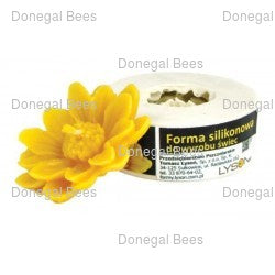 Flower Collection – Donegal Bees