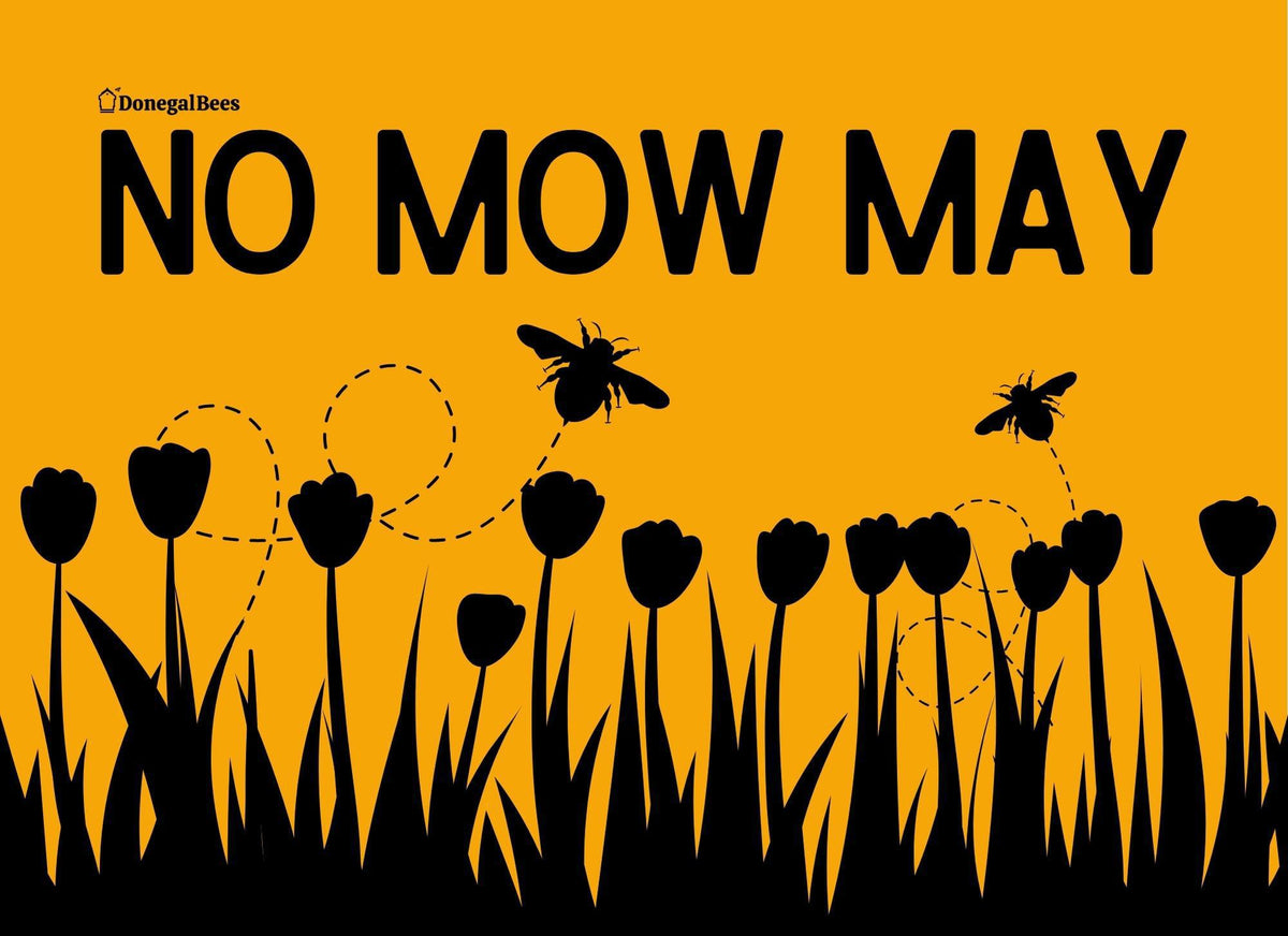 Sign: No Mow May (Orange) – Donegal Bees