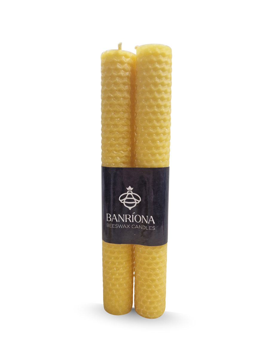 Banríona Dandelion Duo – Donegal Bees