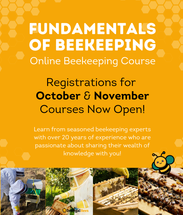 Donegal Bees | Ireland's Largest Beekeeping Equipment Supplier